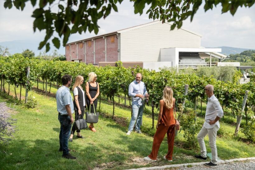 Lazise: Vineyard Tour and Organic Wine Tasting - Frequently Asked Questions