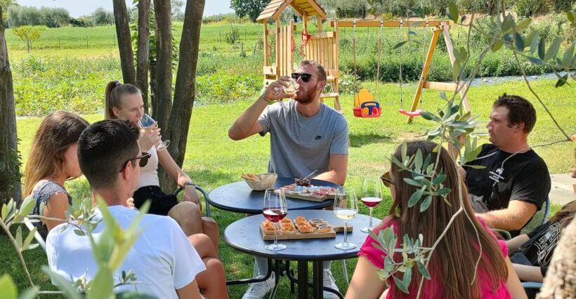 Lazise: Wine Tasting with Charcuterie and Cheese Board - Who Should Consider This Experience?