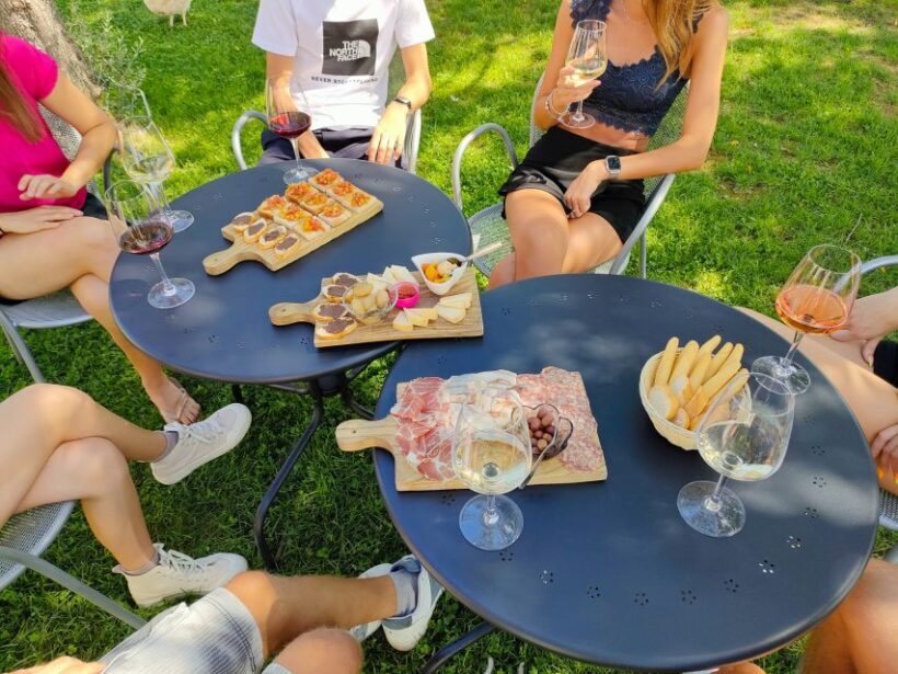 Lazise: Wine Tasting with Charcuterie and Cheese Board - Final Thoughts