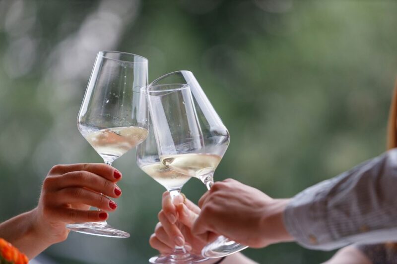 Lazise: Winery Tour with Garda Wines and Food Tasting - Introduction