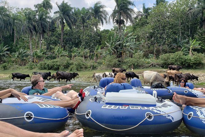 Lazy River Tubing Cabarete, Dominican Republic - Authentic Experiences and Tips