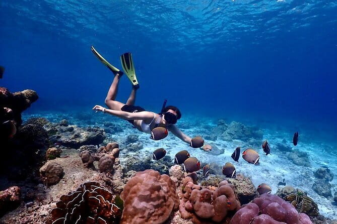 Lazy Similan Islands Marine Journey by Speedboat from Phuket - An In-Depth Look at the Itinerary