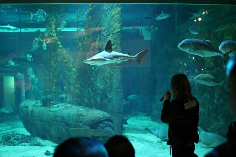 Le Grau-du-Roi: Seaquarium Skip-the-Line Entrance Ticket - Educational Focus