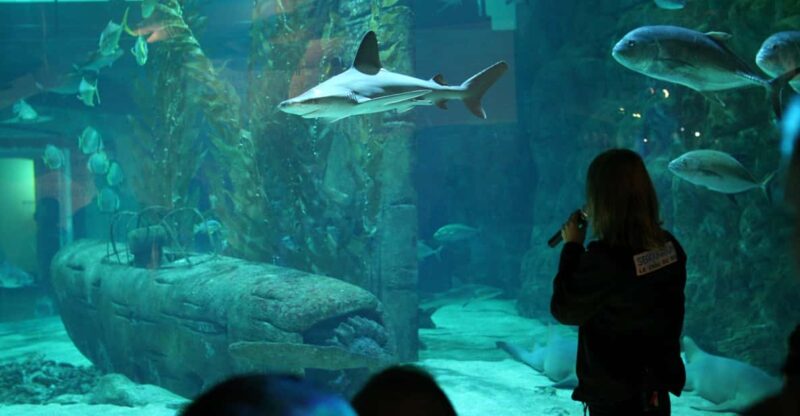 Le Grau-du-Roi: Seaquarium Skip-the-Line Entrance Ticket - Contributions to Environmental Conservation