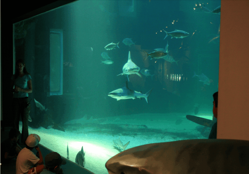 Le Grau-du-Roi: Seaquarium Skip-the-Line Entrance Ticket - Accessibility and Convenience