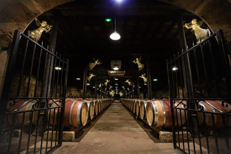 Le Hameau Duboeuf: The 1st Vine and Wine Theme Park Tour - Key Points