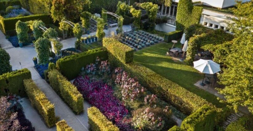 Le Havre to Giverny : Private Tour from Cruises & Hotels - What Previous Travelers Say