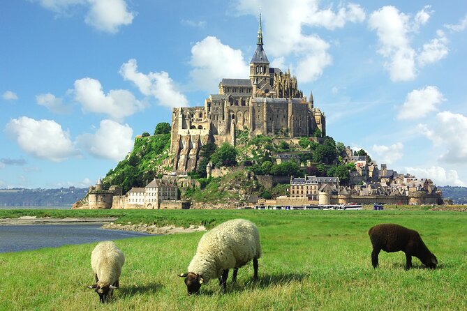 Le Havre to Mont Saint Michel: Small Group Private Tour - Who Should Book This Tour?