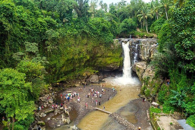 Le Meilleur d'Ubud avec Guide Francophone: Cascade, Rizière, Temple, Café Tour - Exploring Ubud’s Artistic Roots in Celuk Village