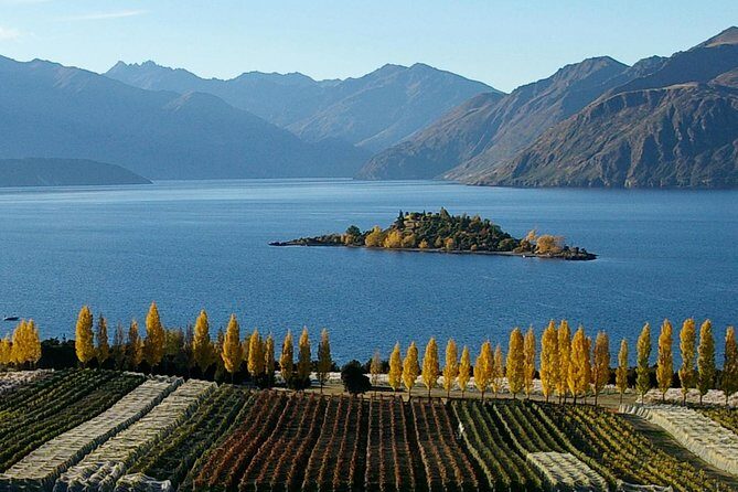 Lead Climbing Wanaka - Half Day - Authentic Experience & Traveler Feedback