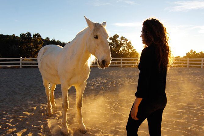 Leadership & Mindfulness Retreat with Horses - Individual & Group - Analyzing the Value: Is It Worth the Price?