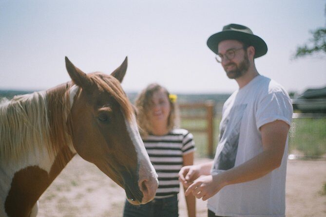 Leadership & Mindfulness Retreat with Horses - Individual & Group - Who Will Benefit Most?