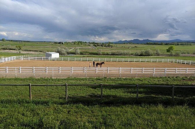Leadership & Mindfulness Retreat with Horses - Individual & Group - FAQs