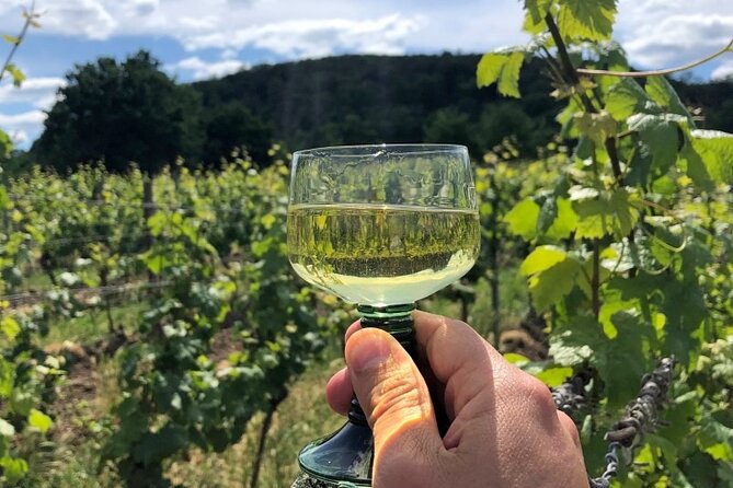 Learn French naturally with our Normandy & Paris Impressionist tour for adults. - The Sum Up