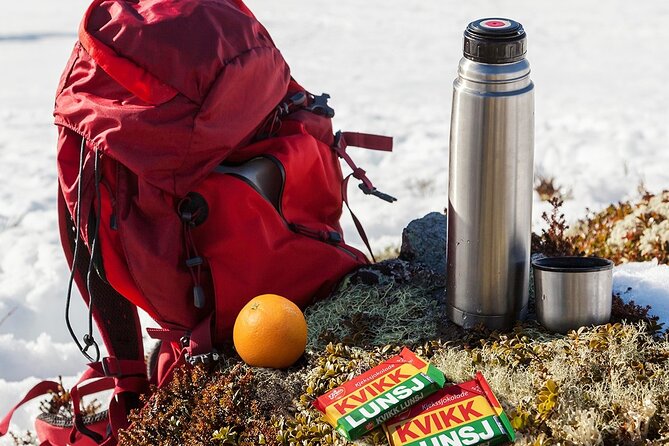 Learn Nordic Skiing - Private Class With Professional Instructor - Reviews and Feedback