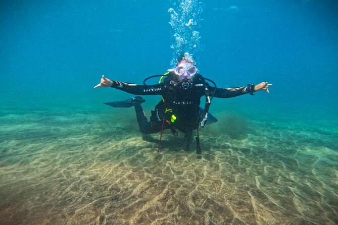 Learn Scuba Diving in Tenerife with Photos Included - Introduction: A Beginner-Friendly Dive into Tenerife’s Underwater World