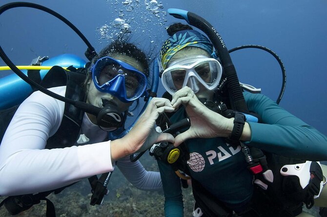 Learn Scuba Diving in Tenerife with Photos Included - Who Should Consider This Experience?