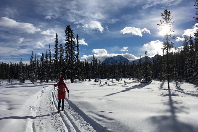 Learn to Cross Country Ski in Lake Louise - Key Points