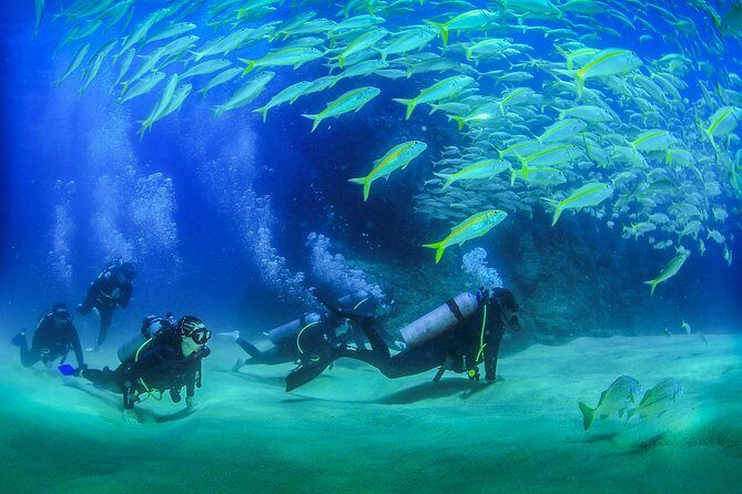 Learn to Scuba Dive in Cabo San Lucas with PADI - Who Will Love This Tour?