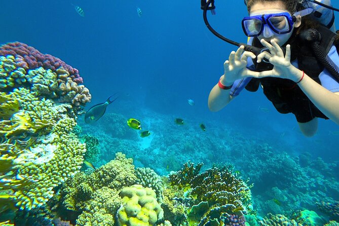 Learn to Scuba Dive with a Professional Instructor in Key Largo - All Inclusive - Key Points