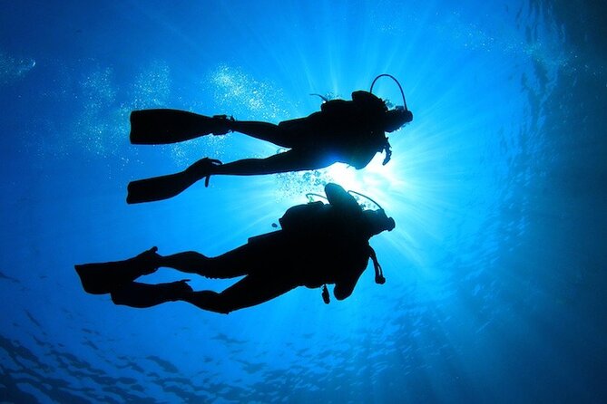 Learn to Scuba Dive with a Professional Instructor in Key Largo - All Inclusive - Who Is This Tour Best For?