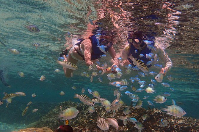 Learn to Stand Up Paddleboard! Includes 5 Star Snorkeling Tour! - The Sum Up