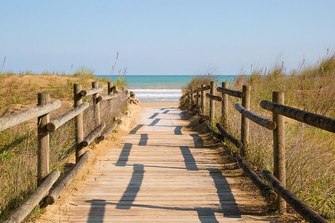 Learn to Surf at Anglesea on the Great Ocean Road - Practical Tips for Participants