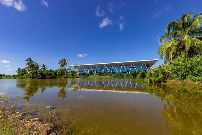 Learn to surf with Fuvahmulah Surf School - The Sum Up