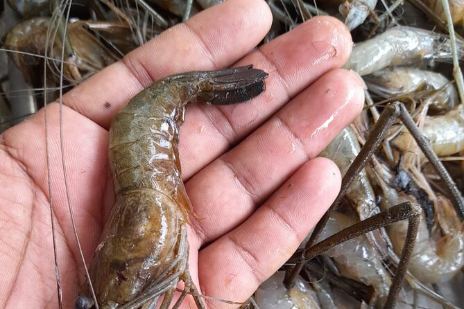 Learn Traditional Kerala Meal in Kumarakom - Frequently Asked Questions