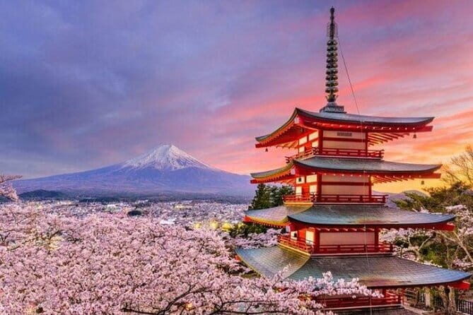 Learnig History of Tokyo in Depth with a Certified tour guide - FAQs