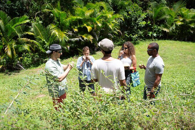 Learning about Medicinal Plants of Puerto Rico - Frequently Asked Questions