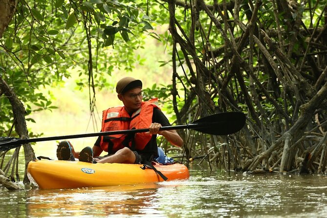 Lebam River Kayaking Adventure - Introduction