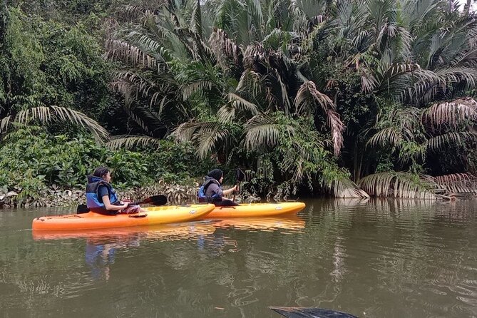 Lebam River Kayaking Adventure - The Value of the Experience