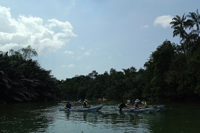 Lebam River Kayaking Adventure - How It Compares to Similar Experiences