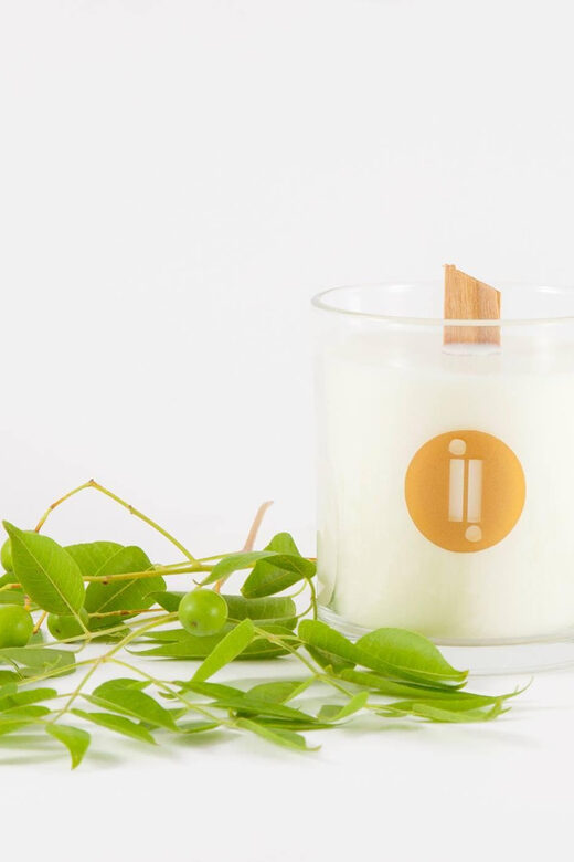 Lecce: Candle Making in 18th Century Countryside Set - Key Points