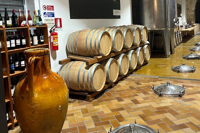 Lecce: E-Bike Tour to Galatina With Old Olive Mill & Wine Tasting - Tour Reviews