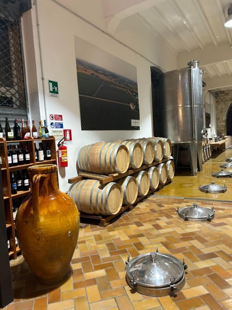 Lecce: E-Bike Tour to Galatina with Olive Mill & Wine taste - Exploring the Lecce to Galatina E-Bike Tour: A Practical Guide