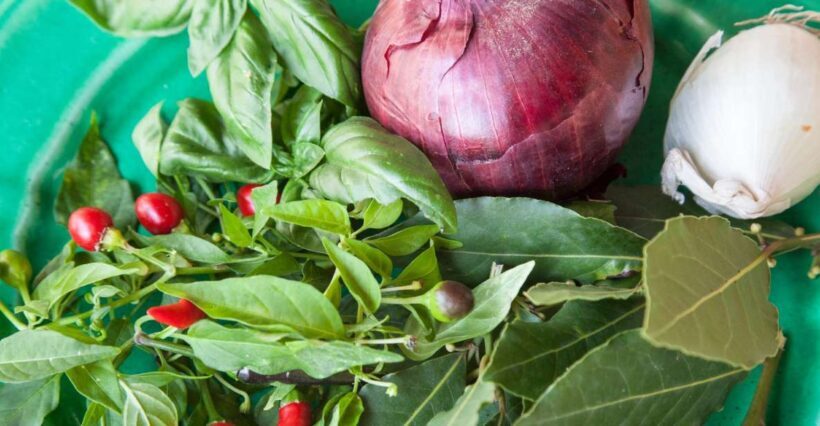 Lecce: Market and Private Cooking Class at a Local's Home - Key Points