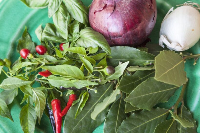 Lecce: Private Cooking Class at a Local's Home - Authenticity and Reviews from Others