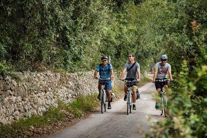 Lecce to Cesine Protected Natural Reserve Full-Day Bike Tour - Key Points
