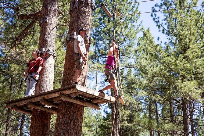 Ledgewood Adventure Course - What You Can Expect at Ledgewood Adventure Course