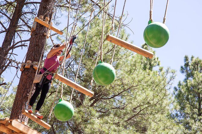 Ledgewood Adventure Course - Who Will Enjoy This Experience?