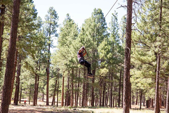 Ledgewood Adventure Course - Practical Tips for Your Visit
