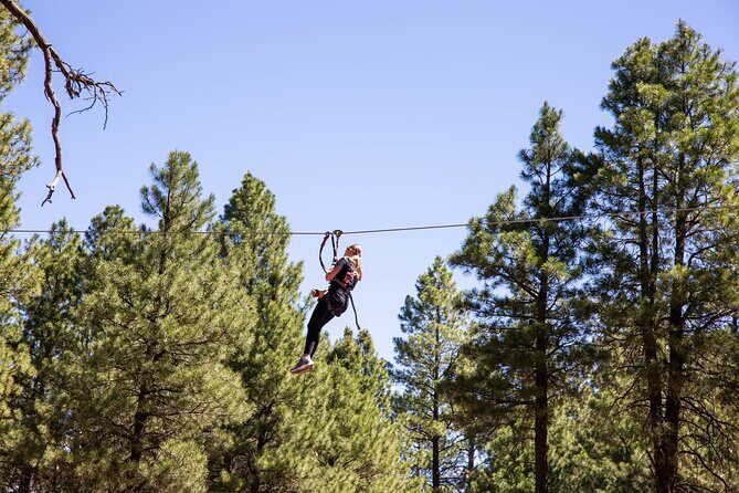 Ledgewood Adventure Course - FAQ