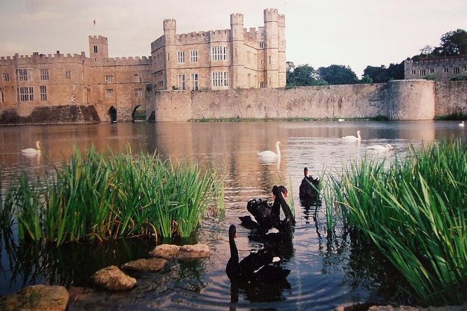 Leeds Castle, Canterbury and White Cliffs of Dover Private Car Tour - Booking Details and Important Information