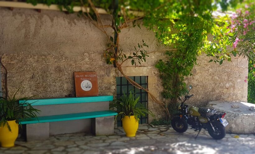 Lefkada: Olive Museum Fabbrica Ticket and Guided Tour - Discovering Lefkada’s Olive Heritage