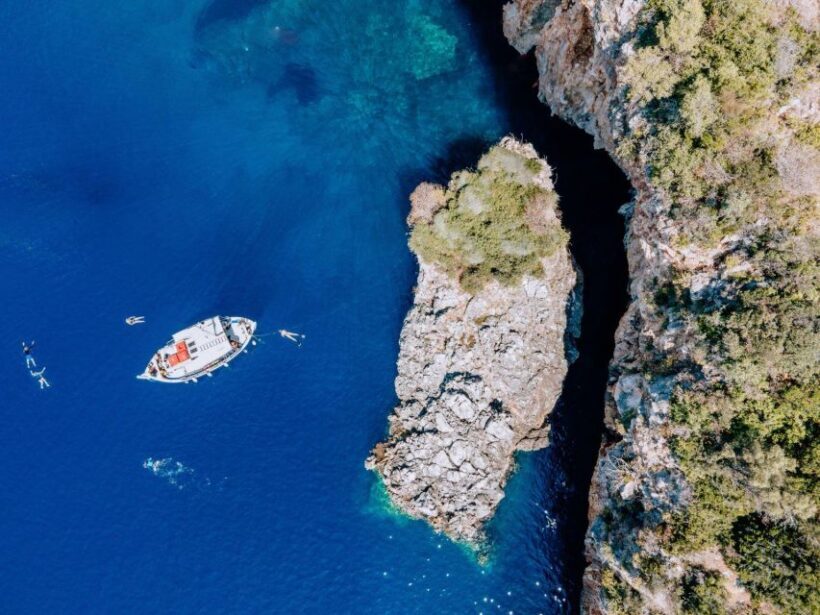 Lefkada: Private Marine Wildlife tour - Who Should Consider This Tour?