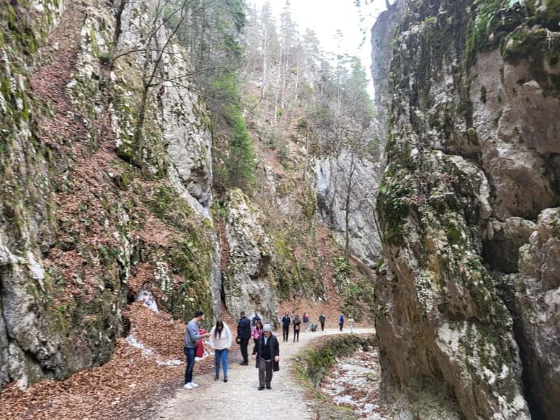 Legendary Transylvania - best version - A Closer Look at the Journey Through Transylvania