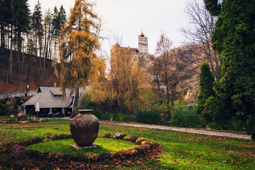 Legends&Wildlife Awaits: Dracula's Castle & Bear Sanctuary - Analyzing the Value