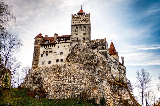 Legends&Wildlife Awaits: Dracula's Castle & Bear Sanctuary - Practical Details and Value